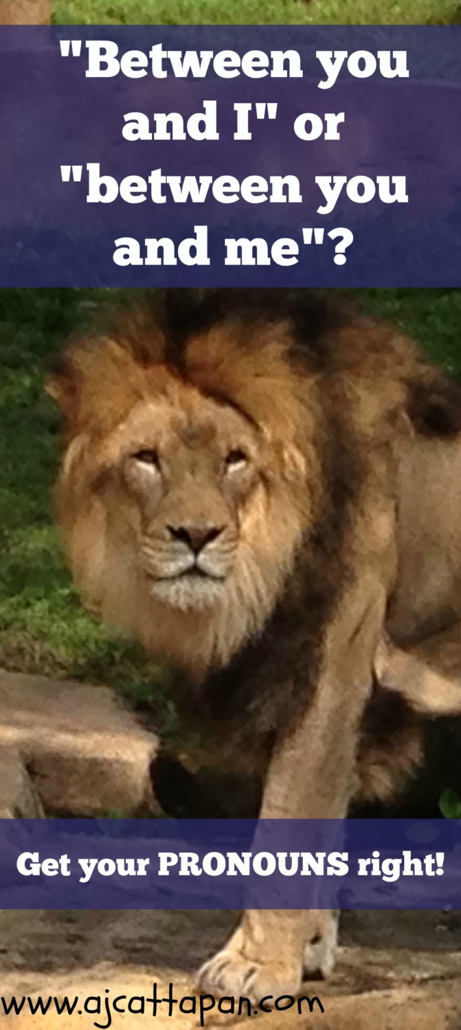 Writing Wednesday: The Proper Use of "She" and "Her" and "I" and "Me ...